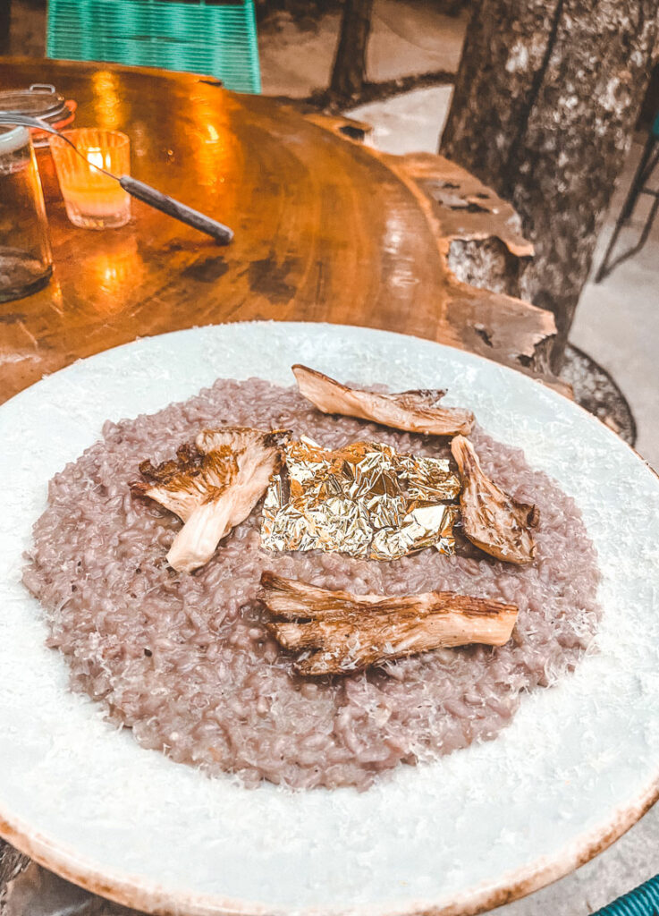 The Best Restaurants On The Beach In Tulum | Mexico