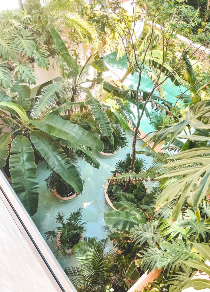 The Best Cafe In Tulum To Start Your Day | Tulum Travel Guide