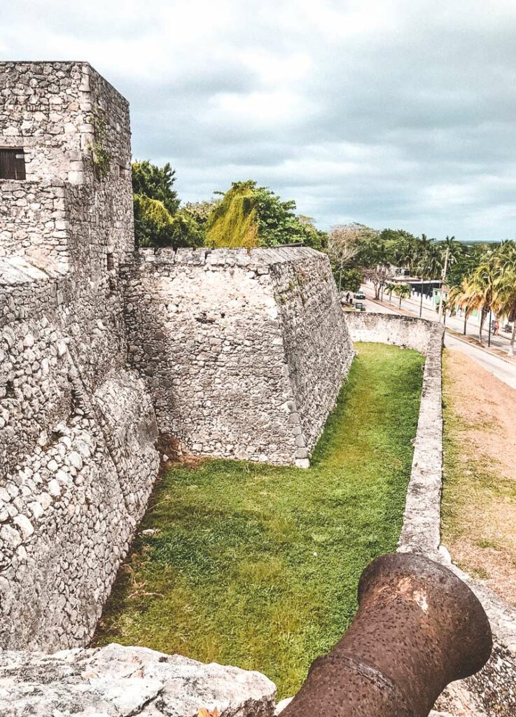 The Best Tulum Cenote Tours: Which One To Book? | Tulum Tours