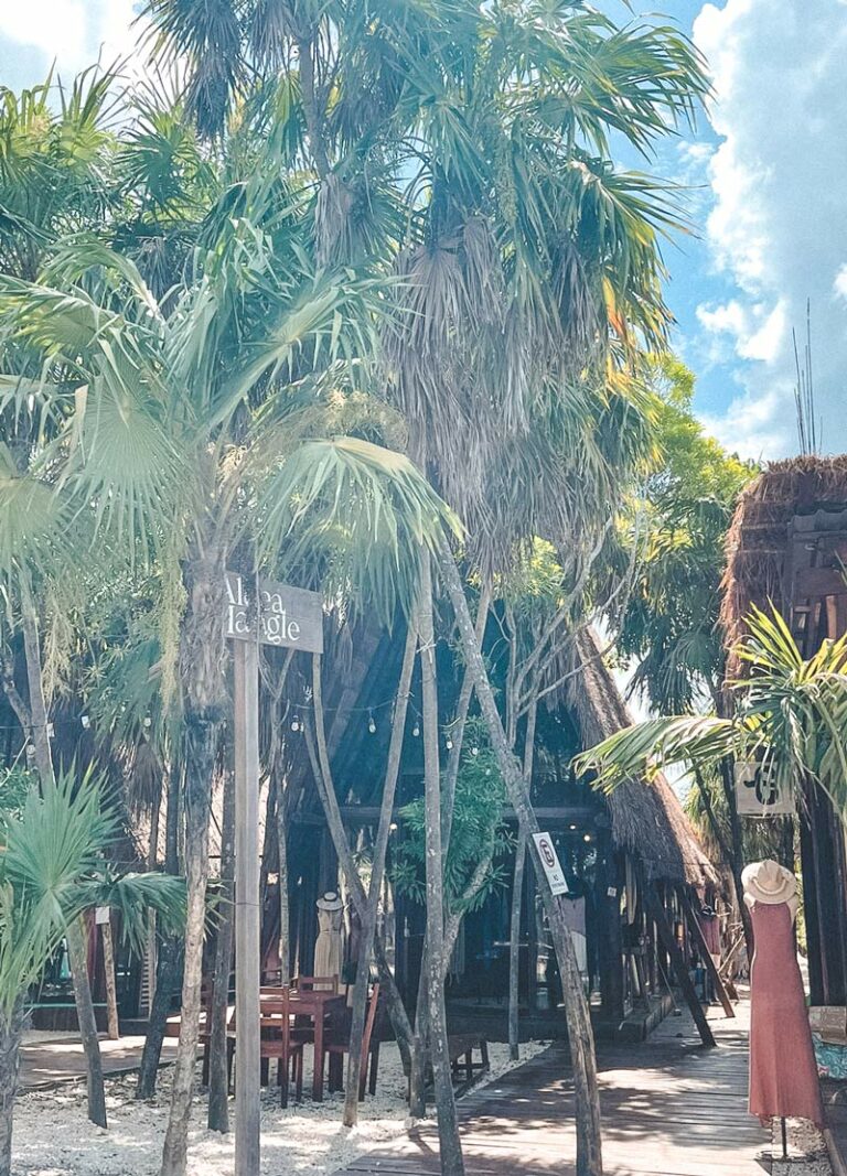 Aldea Zama Tulum: A Complete Neighborhood Guide | Tulum | Mexico
