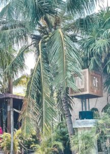 Tulum Weather In December: When To Visit Tulum | Weather Guide Mexico