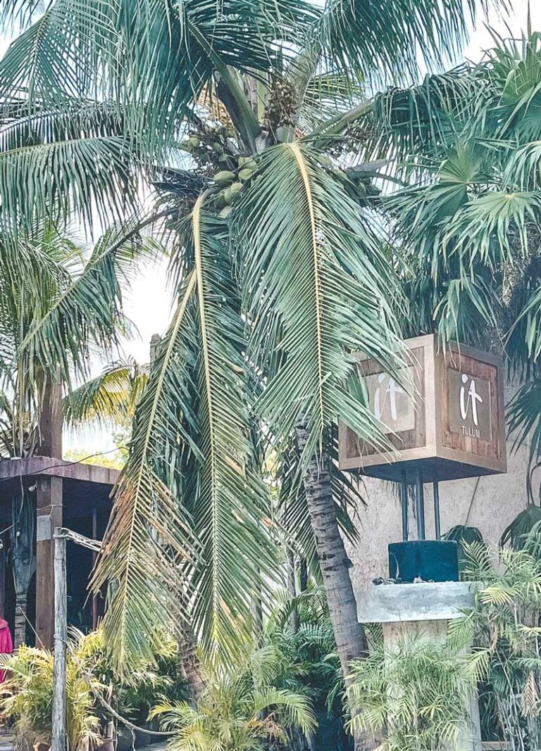 Tulum Weather In December: When To Visit Tulum | Weather Guide Mexico