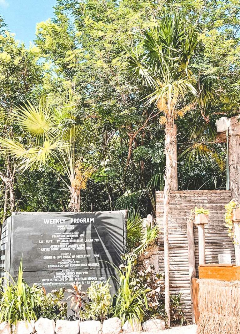 8 Unmissable Activities in Tulum | Things To Do | Experiences Tulum