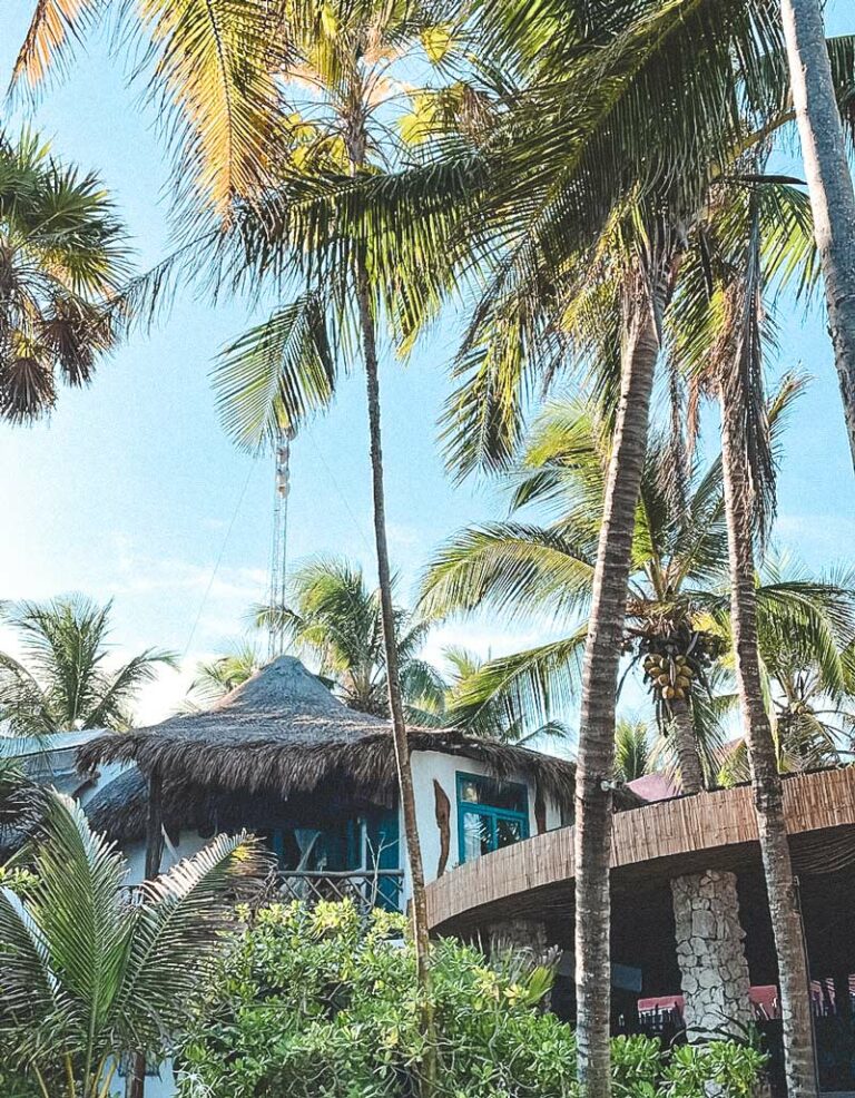 Digital Nomad In Tulum | Build the Life of your Dreams