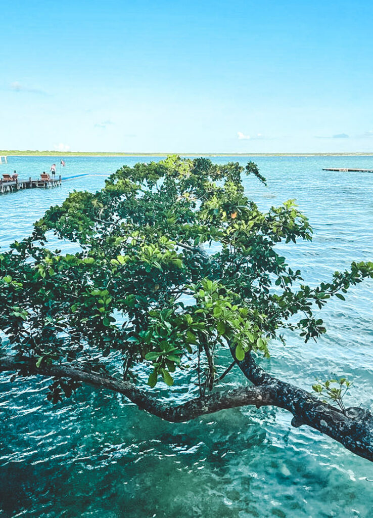 All You Need To Know About Bacalar Lagoon Mexico | Tulum Day Trip