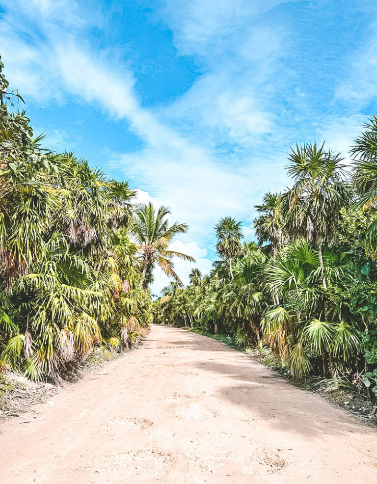 Digital Nomad In Tulum | Build the Life of your Dreams