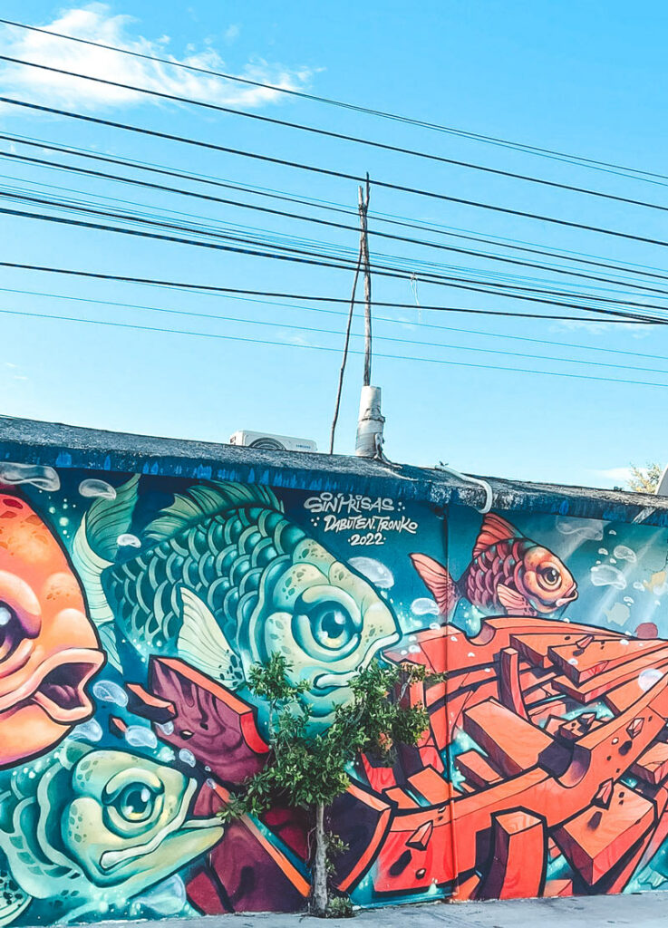 Tulum Car Rental: Comparisons and Review | Rent A Car In Tulum