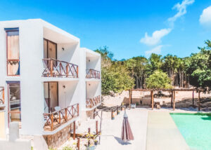 Cenotes Casa Tortuga Tulum: Is It Worth The Tour? | Tulum Best Cenotes