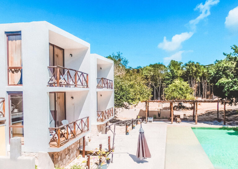 Cenotes Casa Tortuga Tulum: Is It Worth The Tour? | Tulum Best Cenotes