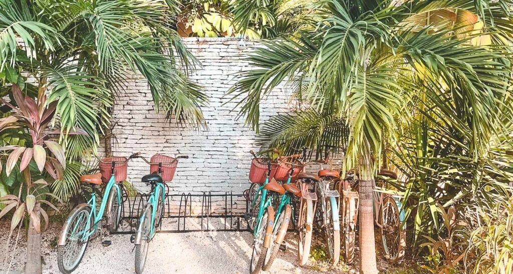 Biking In Tulum: The Best Tulum Bike Rental | Ultimate Biking Guide