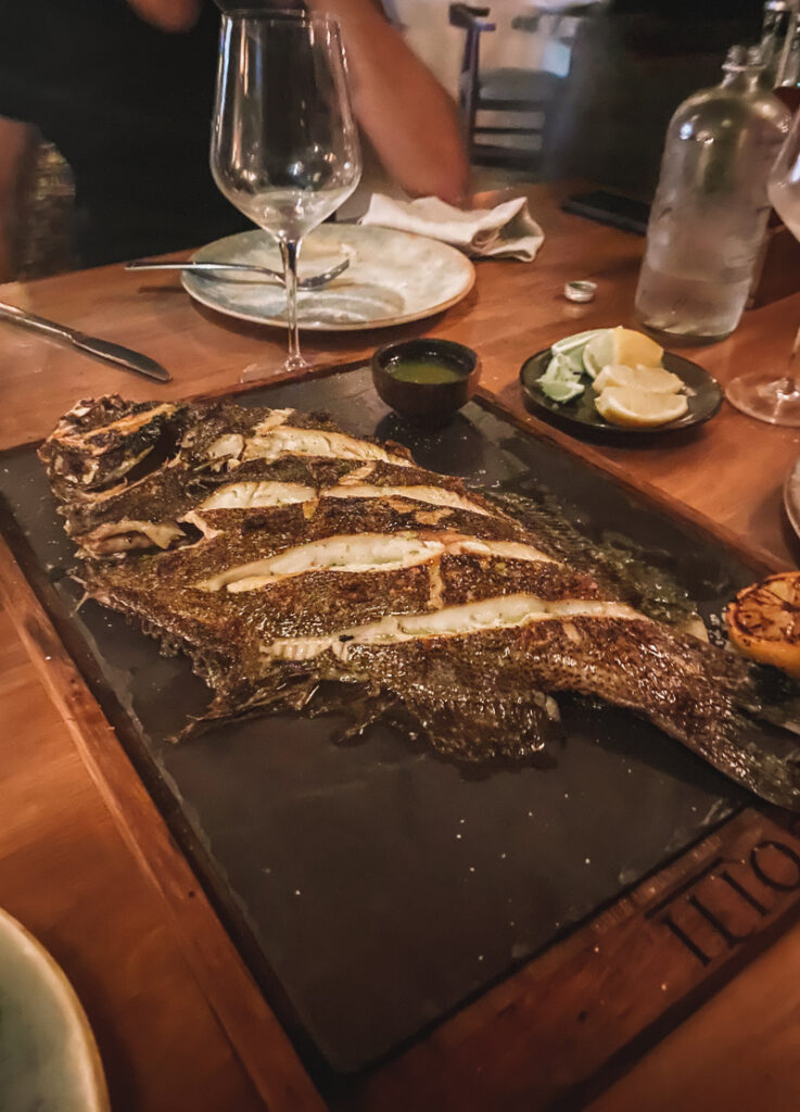 Ilios Tulum Ultimate Guide: Where Greek Cuisine Meets the Caribbean