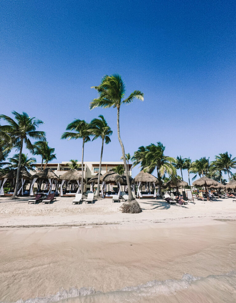 Digital Nomad In Tulum | Build the Life of your Dreams