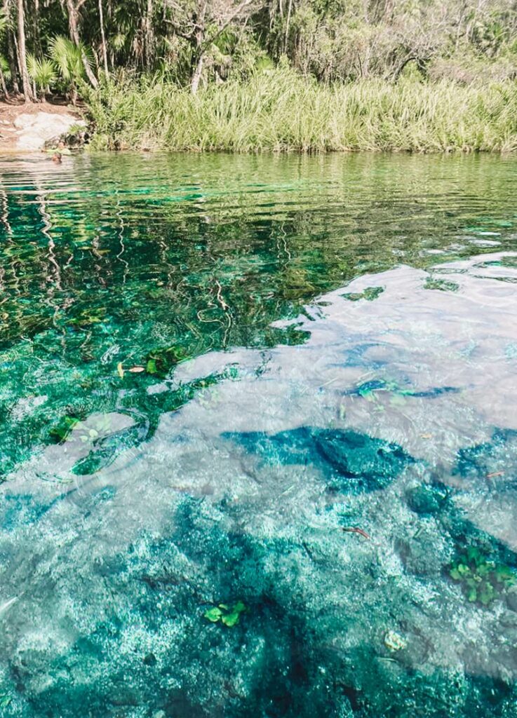 Explore the Wonders of Cenote Azul, Tulum: Escape to Paradise