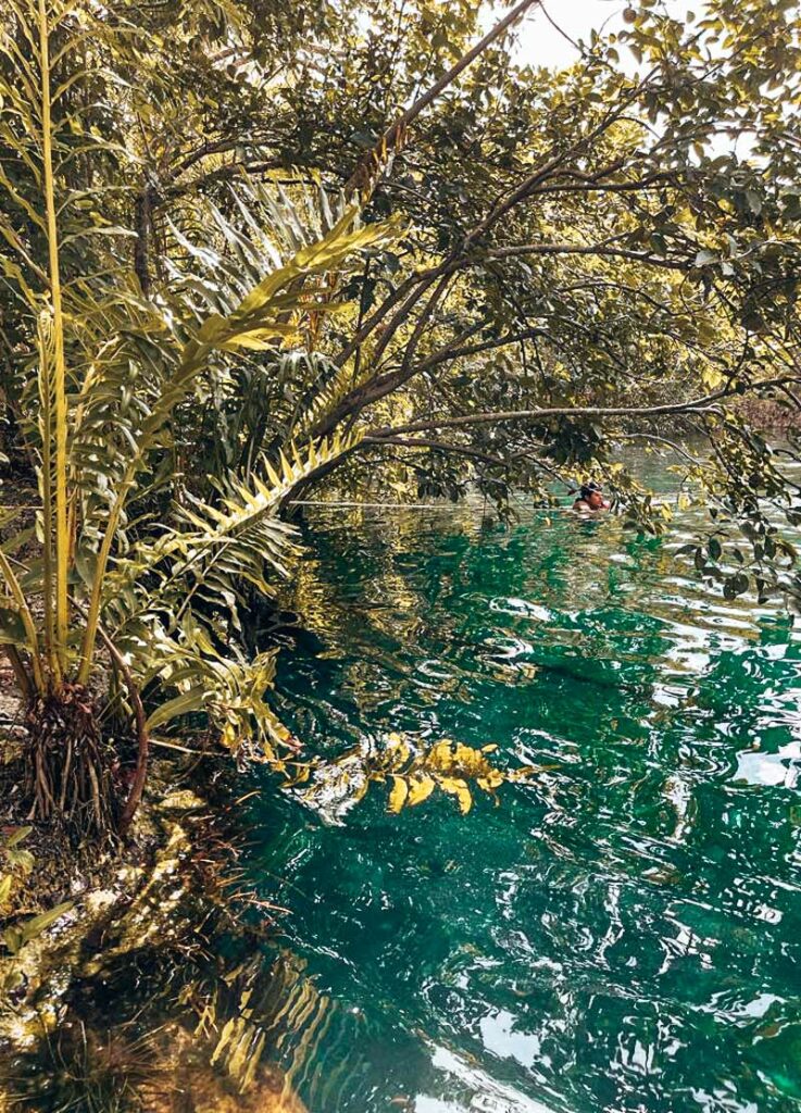 Explore the Wonders of Cenote Azul, Tulum: Escape to Paradise